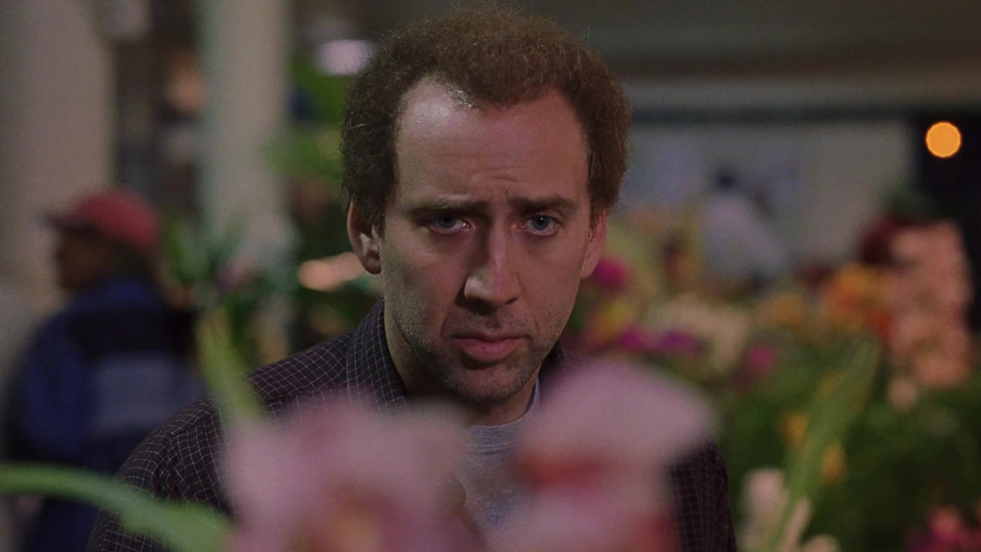 Adaptation. | Alamo Drafthouse Cinema