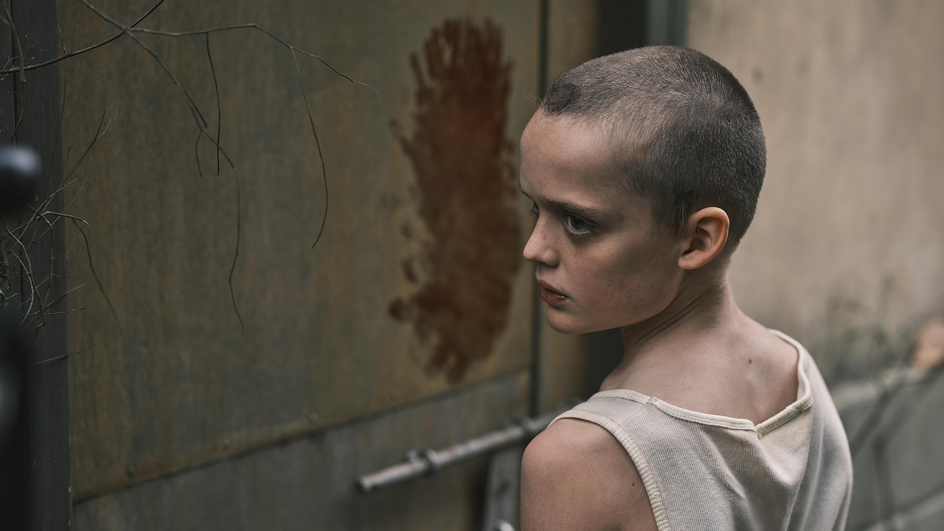 Alamo Drafthouse Cinema