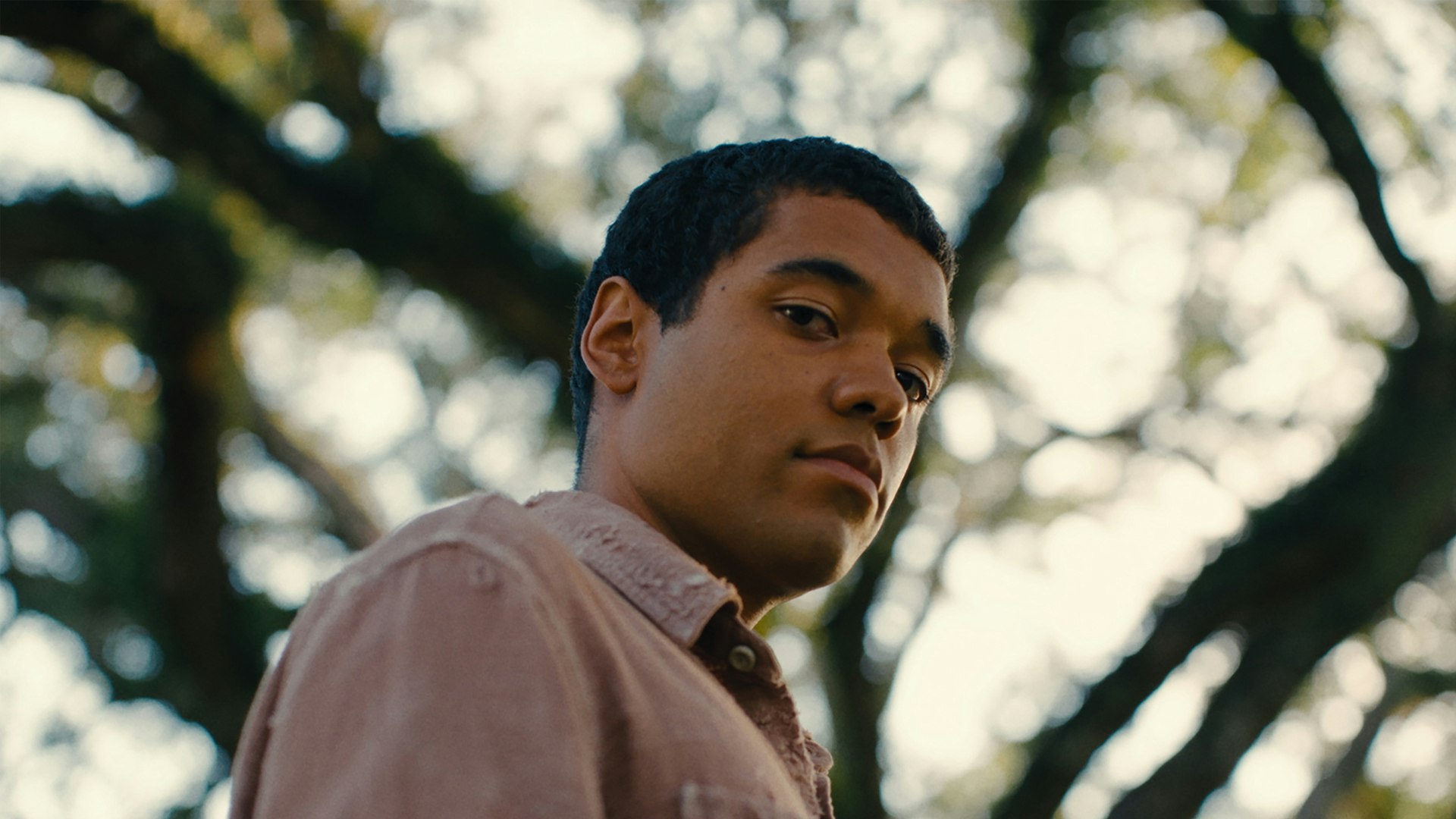 Alamo Drafthouse Cinema