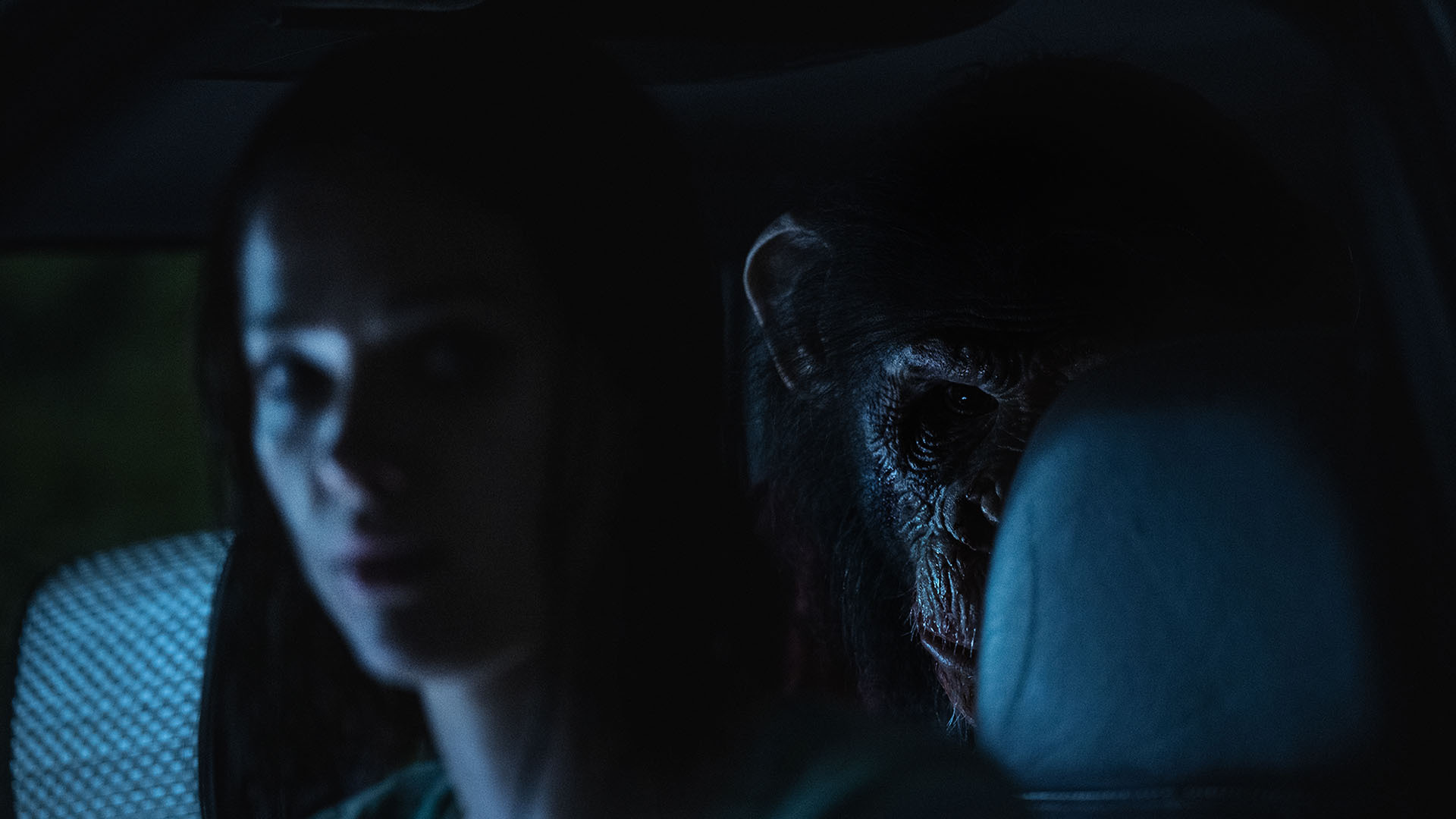 Alamo Drafthouse Cinema