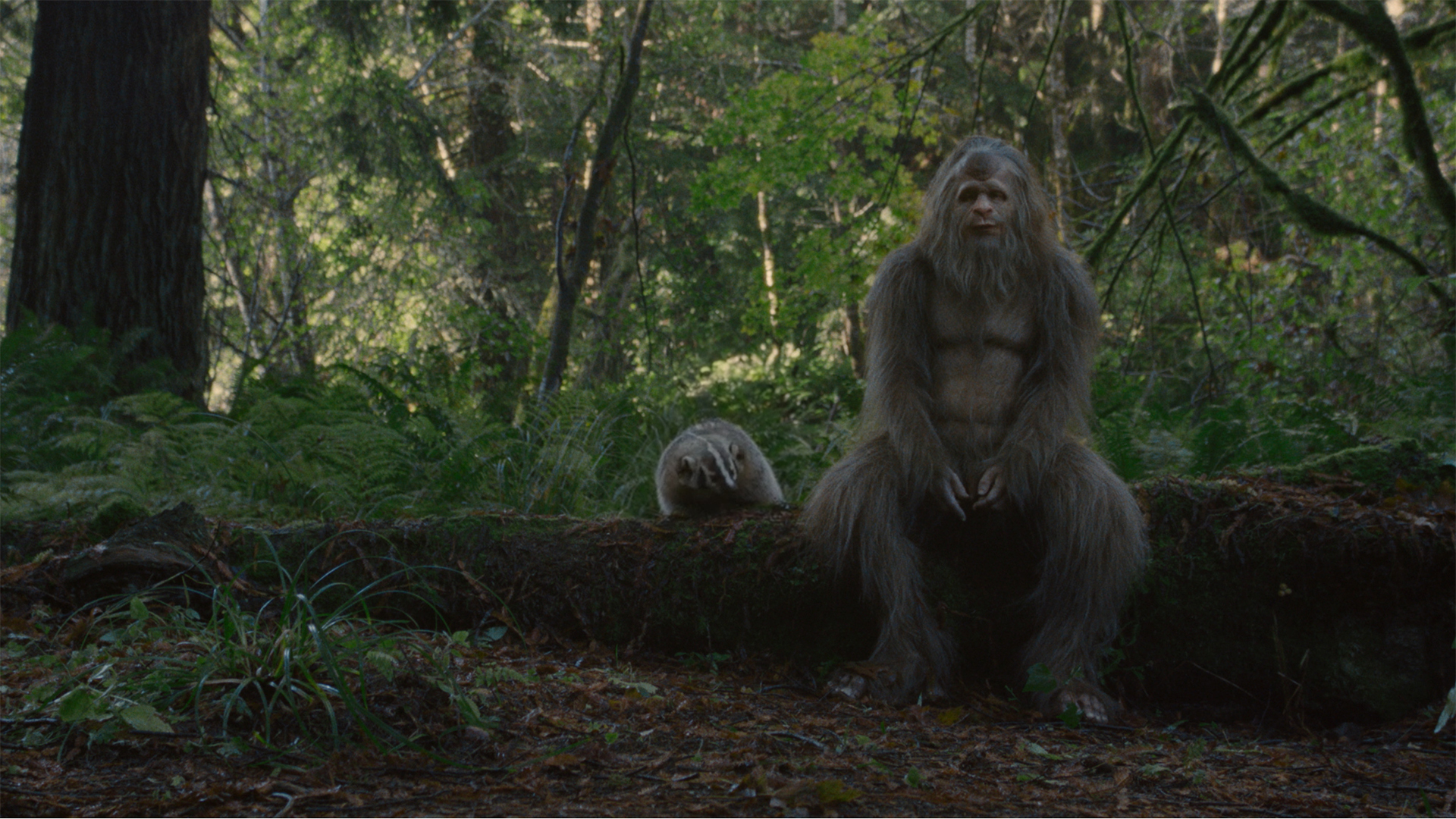 Sasquatch Sunset | Alamo Drafthouse Cinema