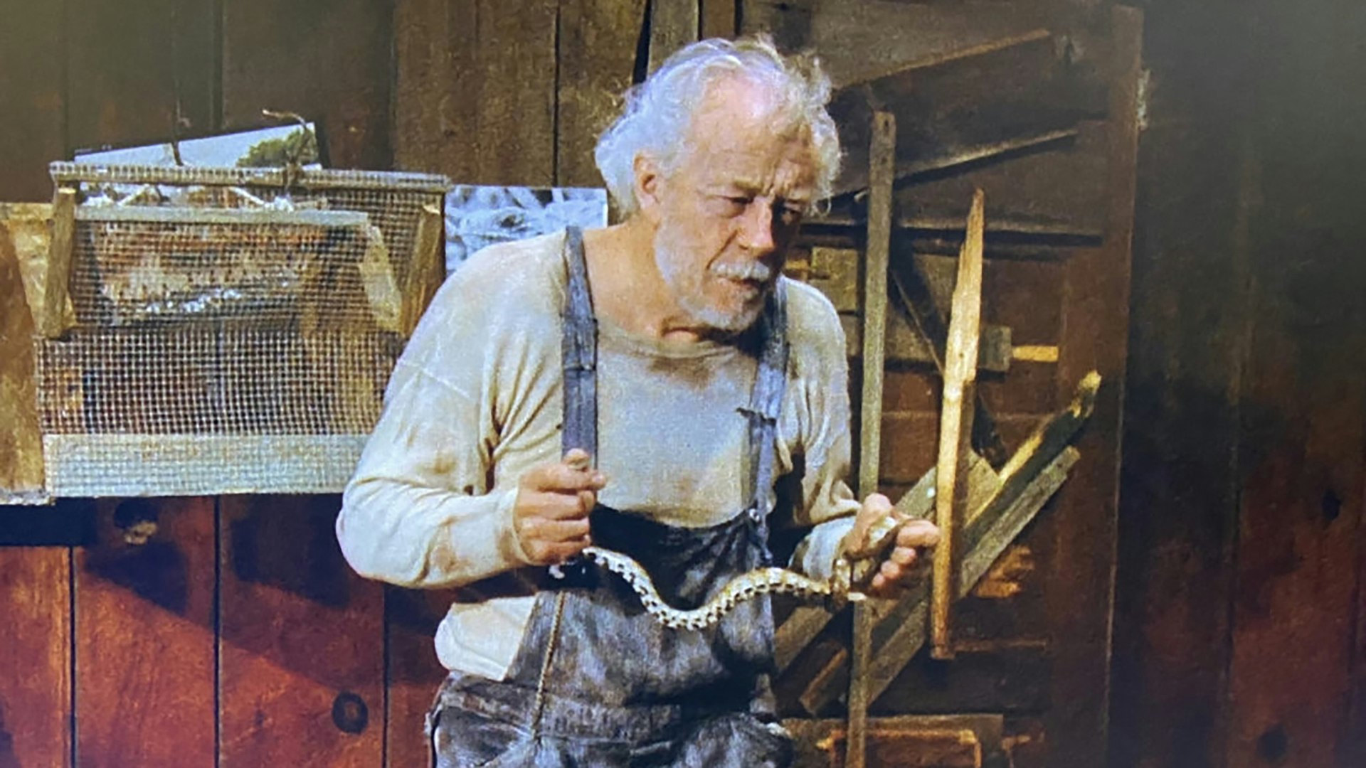 Alamo Drafthouse Cinema