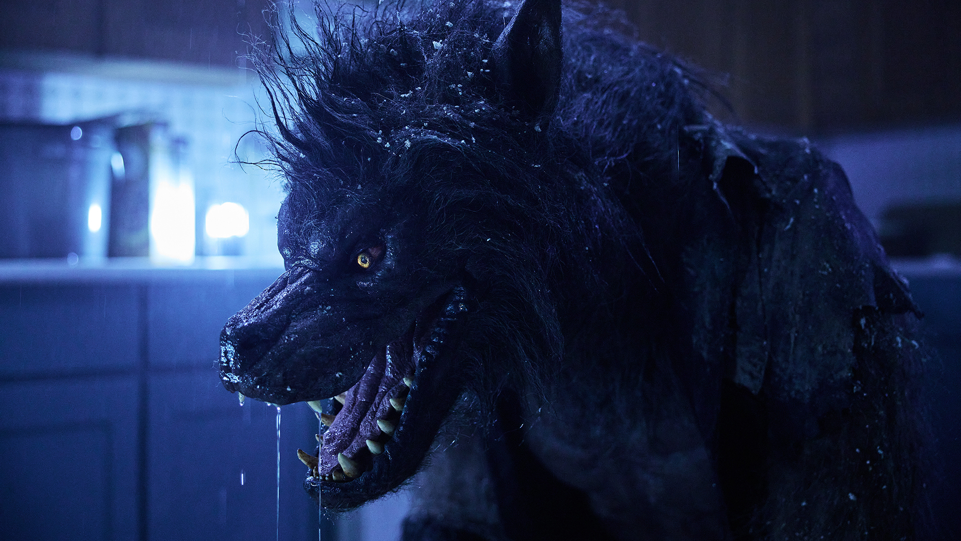 Alamo Drafthouse Cinema